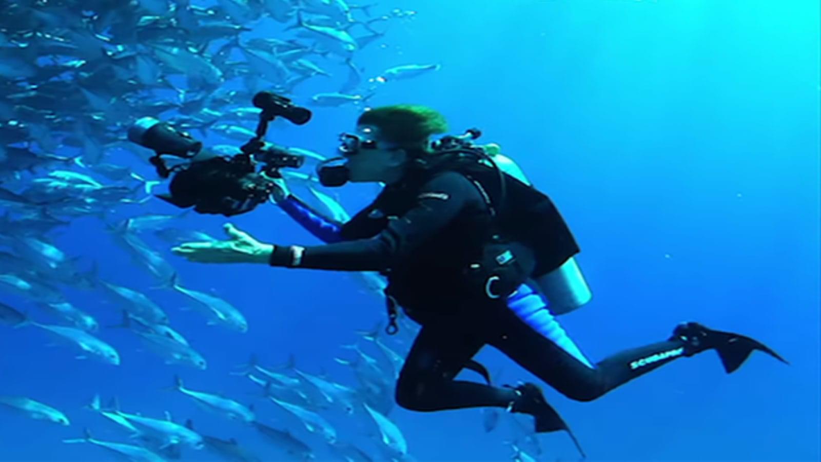 Mission Blue Featured, Reviews Film Threat