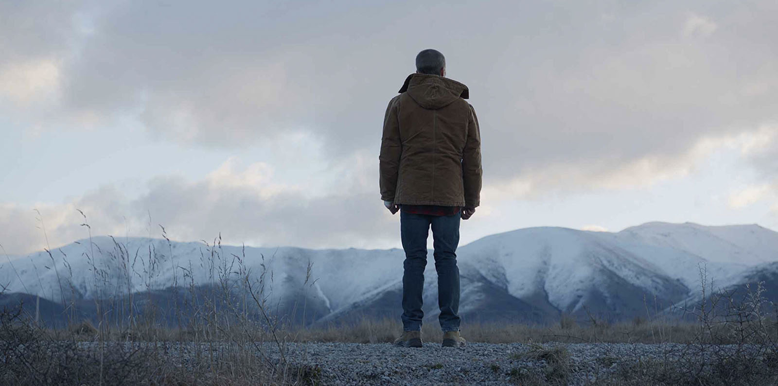 Stray Featured, Reviews Film Threat