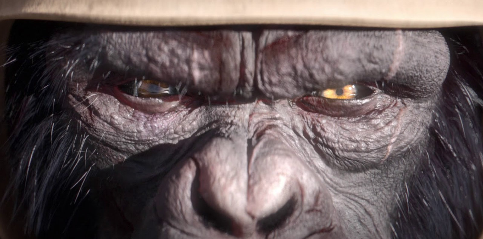 400 MPH Featured, Reviews Film Threat