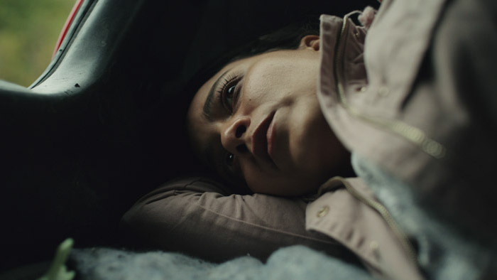 opens the trunk to see a woman bound and locked inside…”