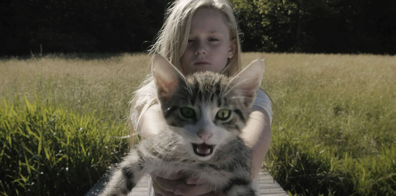 Small Time Featured, Reviews Film Threat