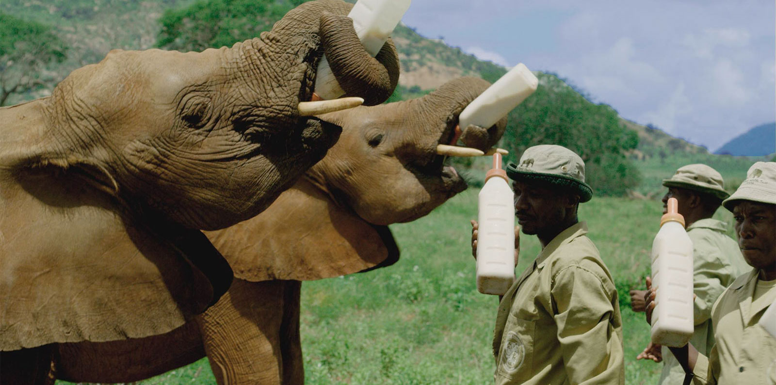 Why On Earth Featured, Reviews Film Threat