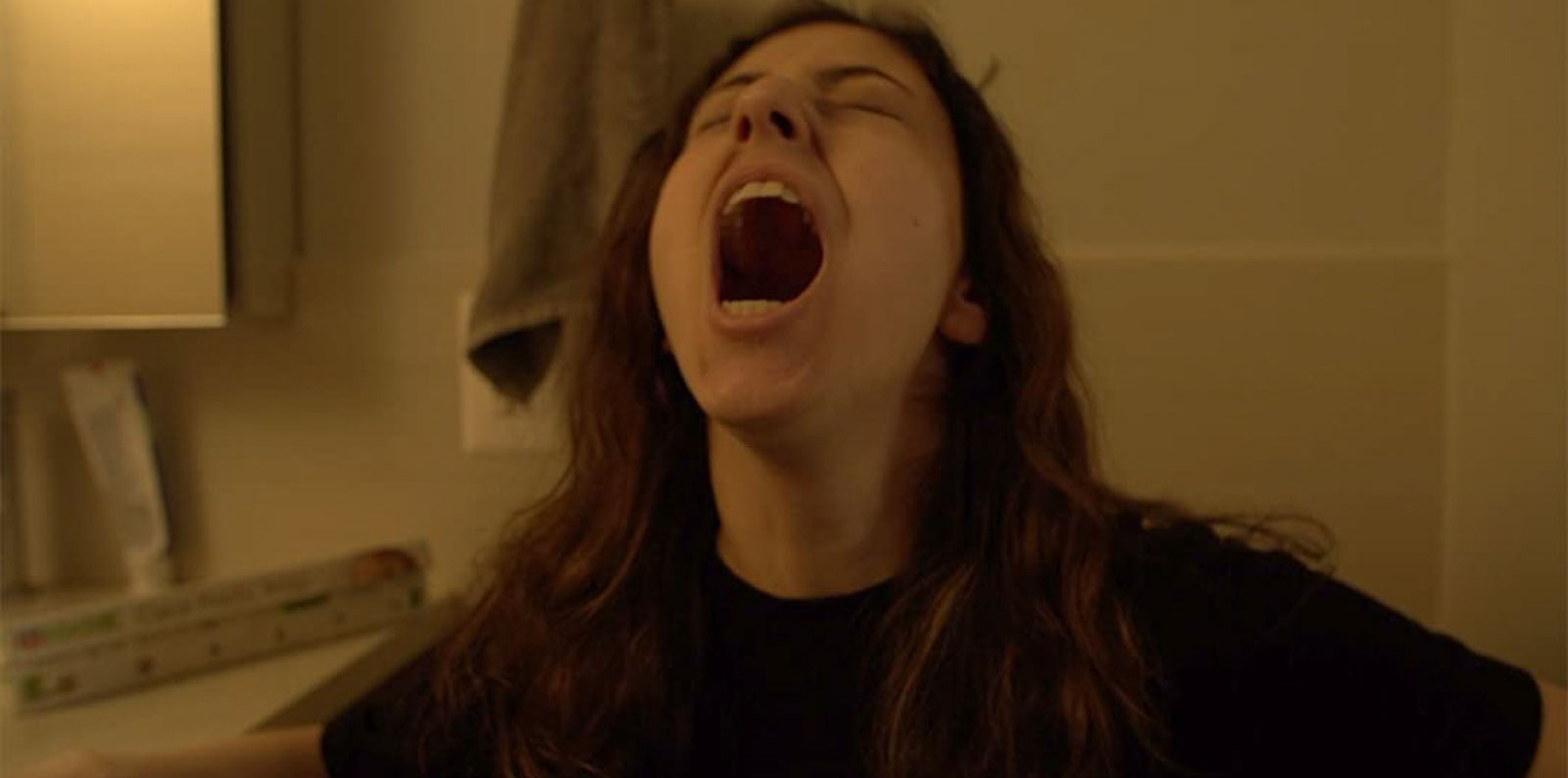 Bugs: A Trilogy Featured, Reviews Film Threat