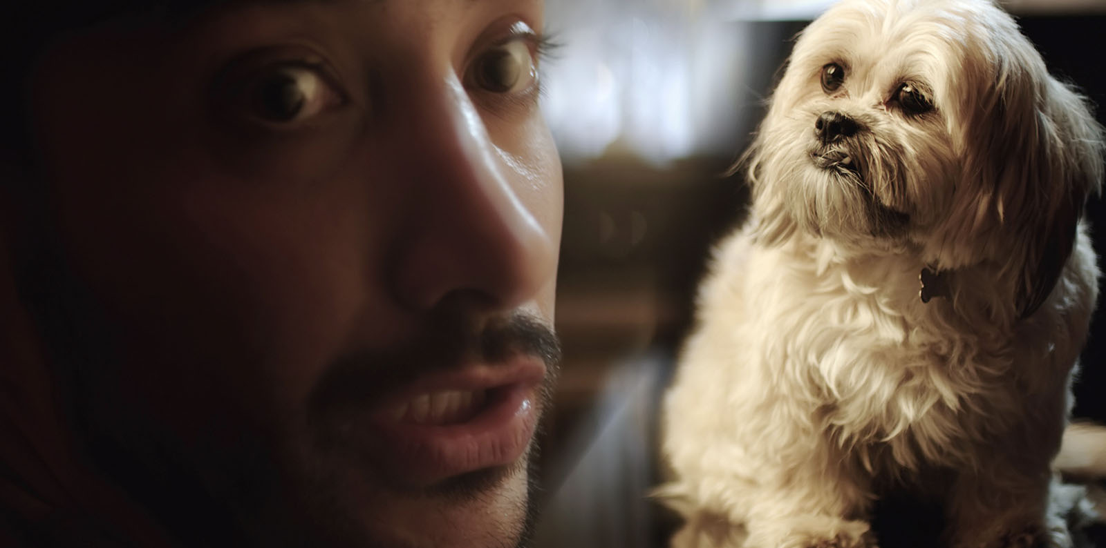 Doggy Bank | Film Threat