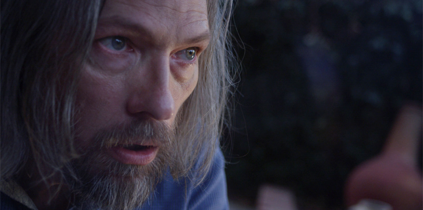 Magpie Funeral Featured, Reviews Film Threat