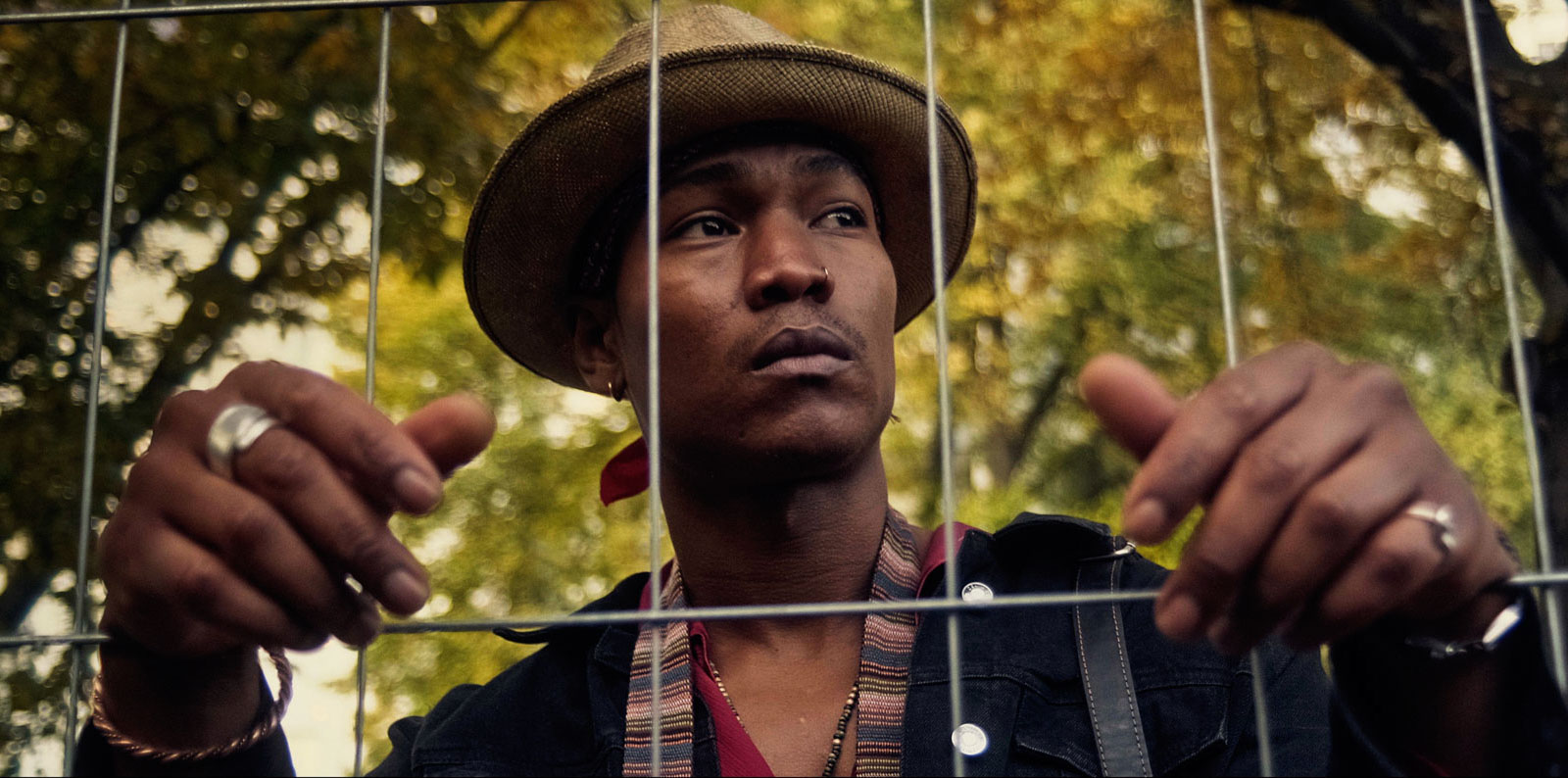 Orango | Film Threat