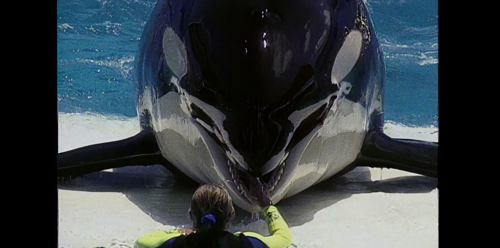 Resident Orca | Film Threat