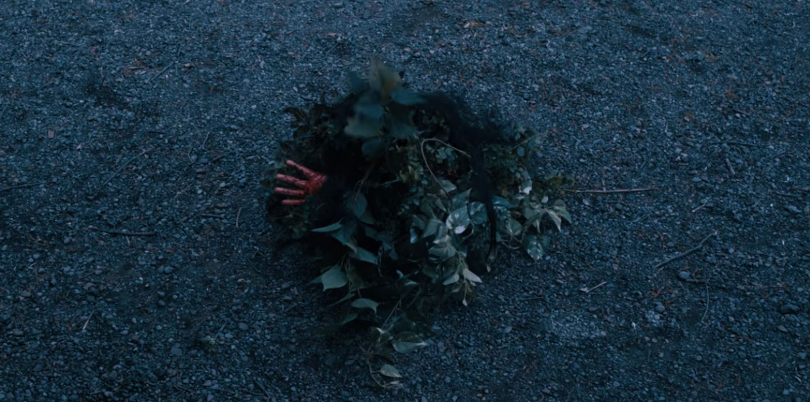 Shrubs | Film Threat